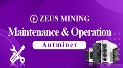 How to check the mining income of miners? | Zeus Mining